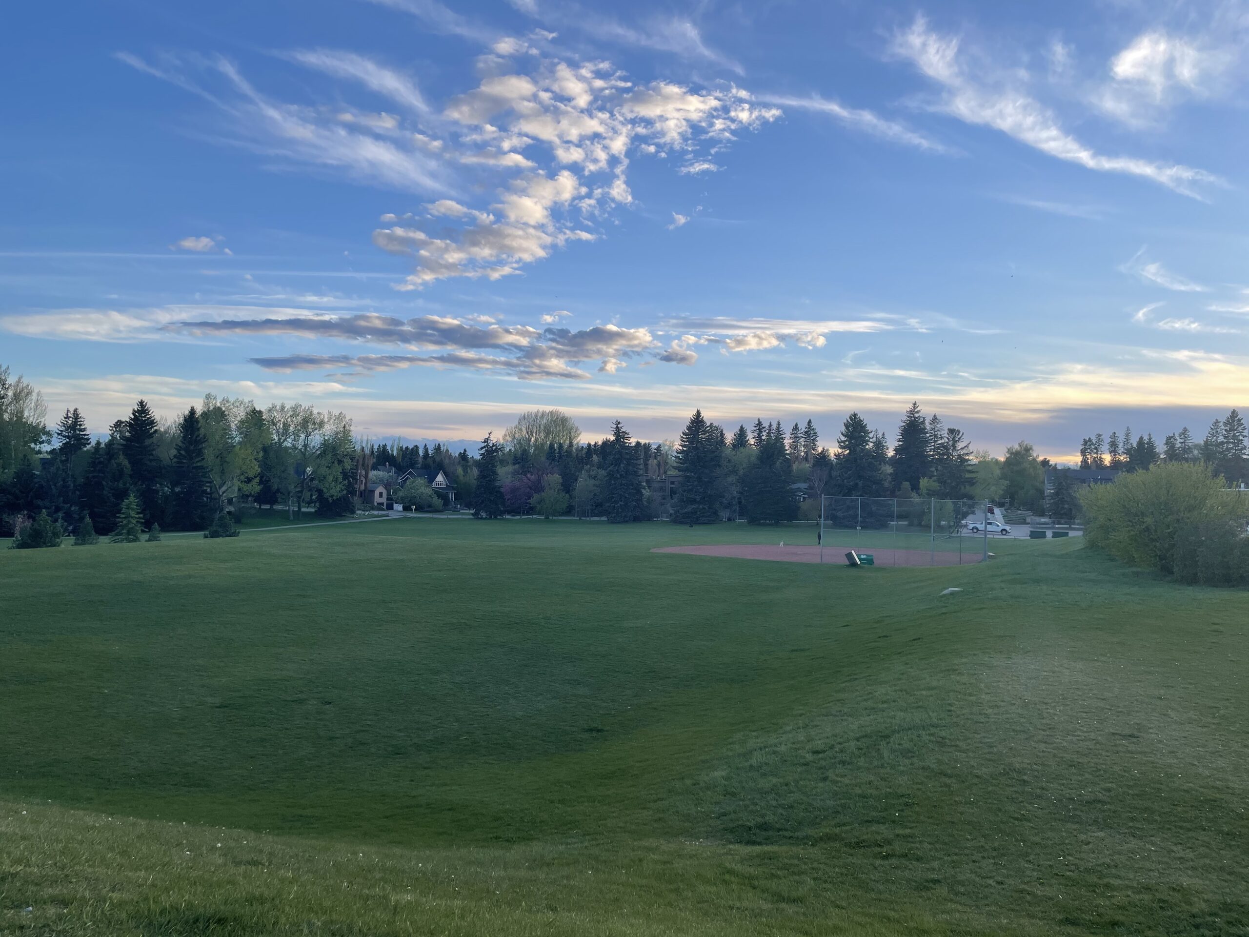 Schools – Mount Royal Community Association